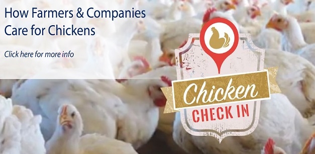 Home - The National Chicken Council