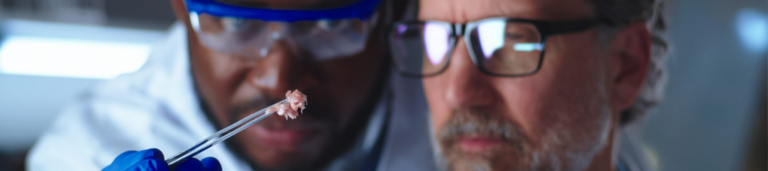 What is Lab Grown Chicken? | National Chicken Council