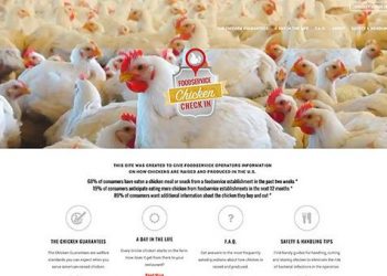 National Chicken Council | Animal Welfare for Broiler Chickens